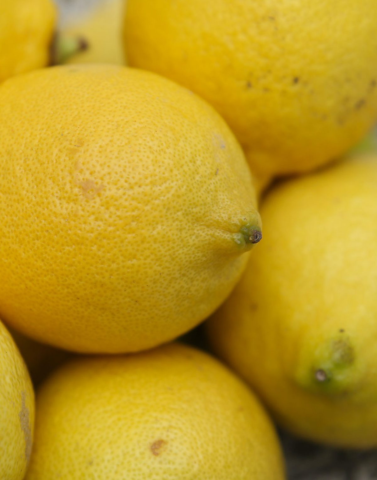 Citron vendu par 6 pièces – 26 Fruits